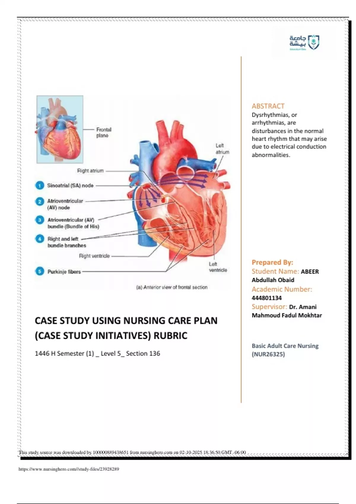 CASE STUDY USING NURSING CARE PLAN (CASE STUDY INITIATIVES) RUBRIC ...