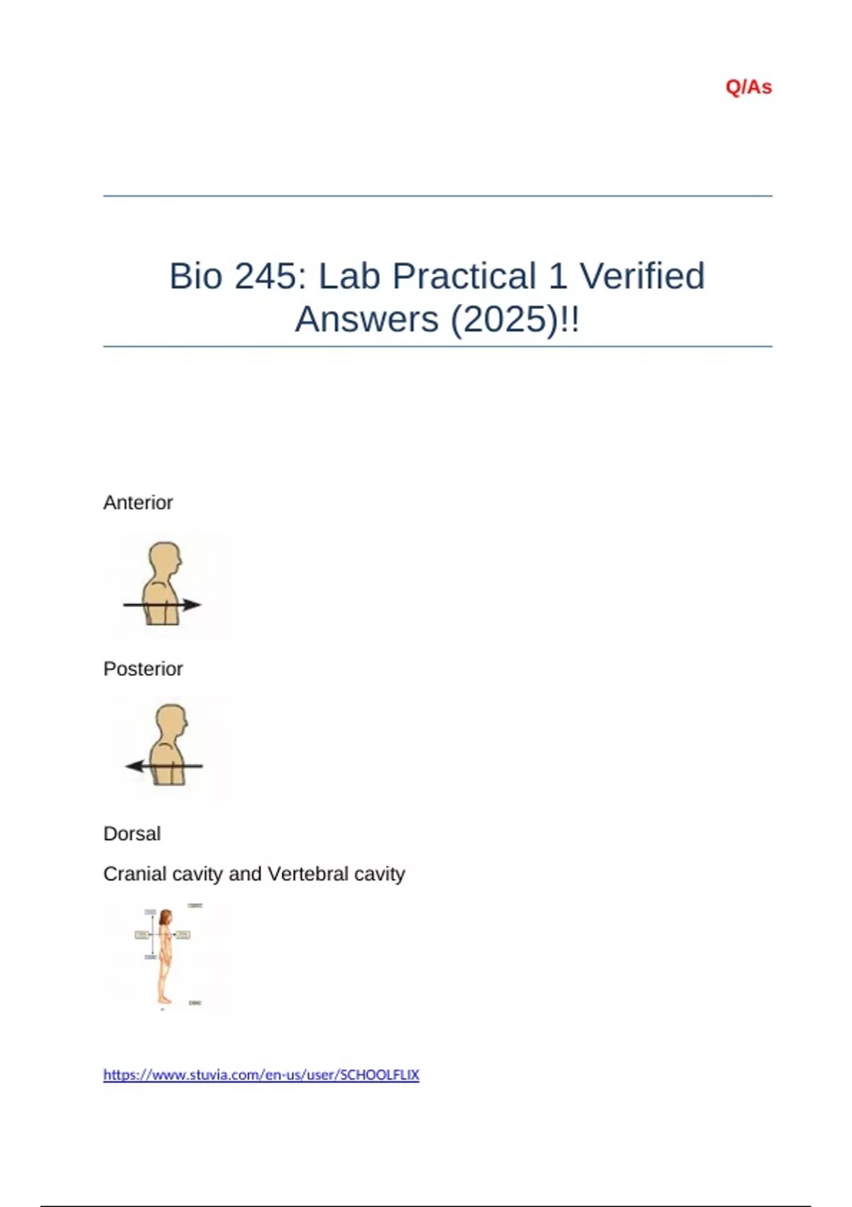 Bio 245 Lab Practical 1 Verified Answers (2025)!! - Bio 245 - Stuvia US