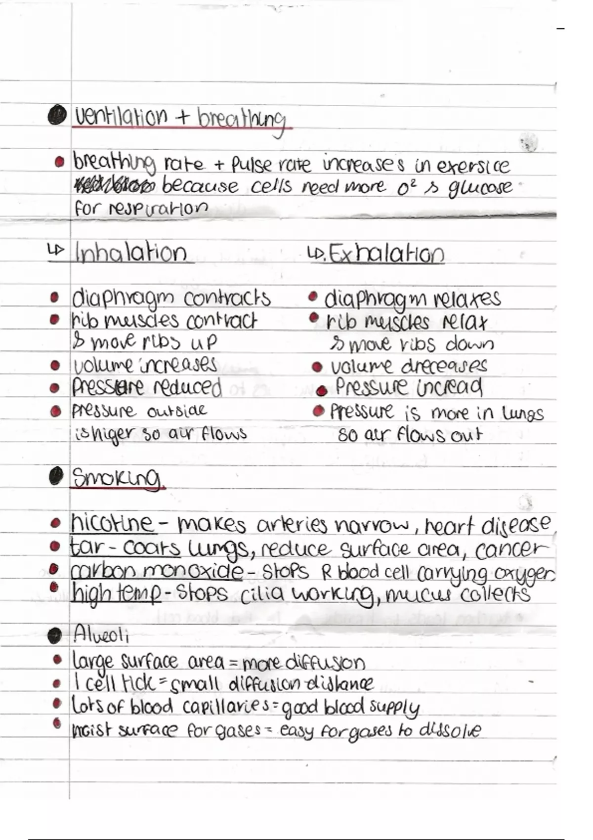BIOLOGY MIND MAP FOR RESPIRATION - Biology - Stuvia UK