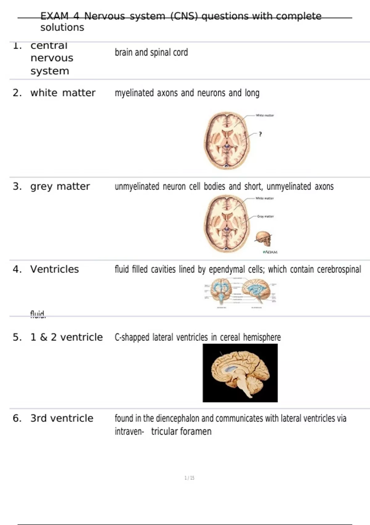 EXAM 4 Nervous system (CNS) questions with complete solutions - CNS ...