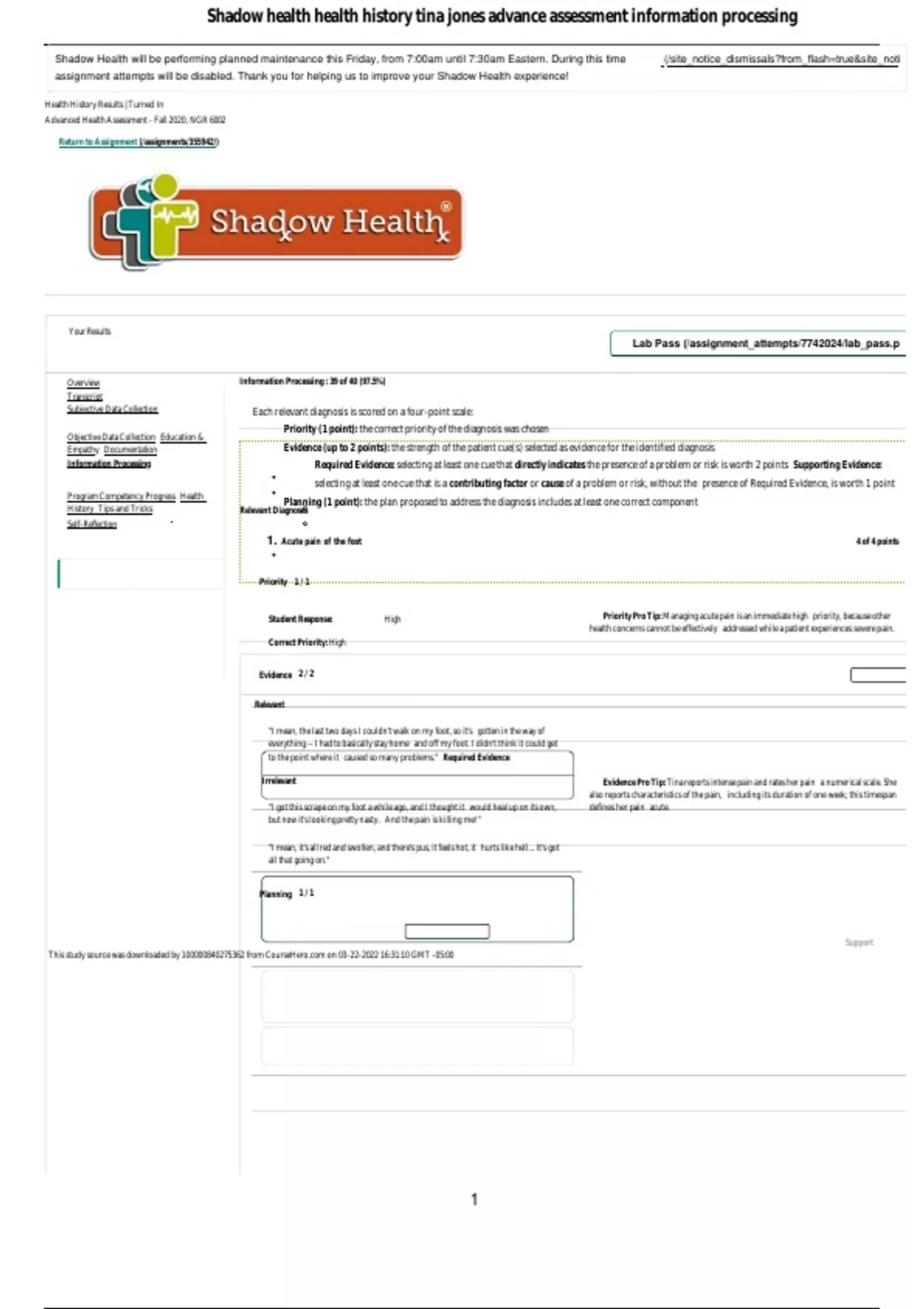 Shadow Health Health History Tina Jones Advance Assessment Information