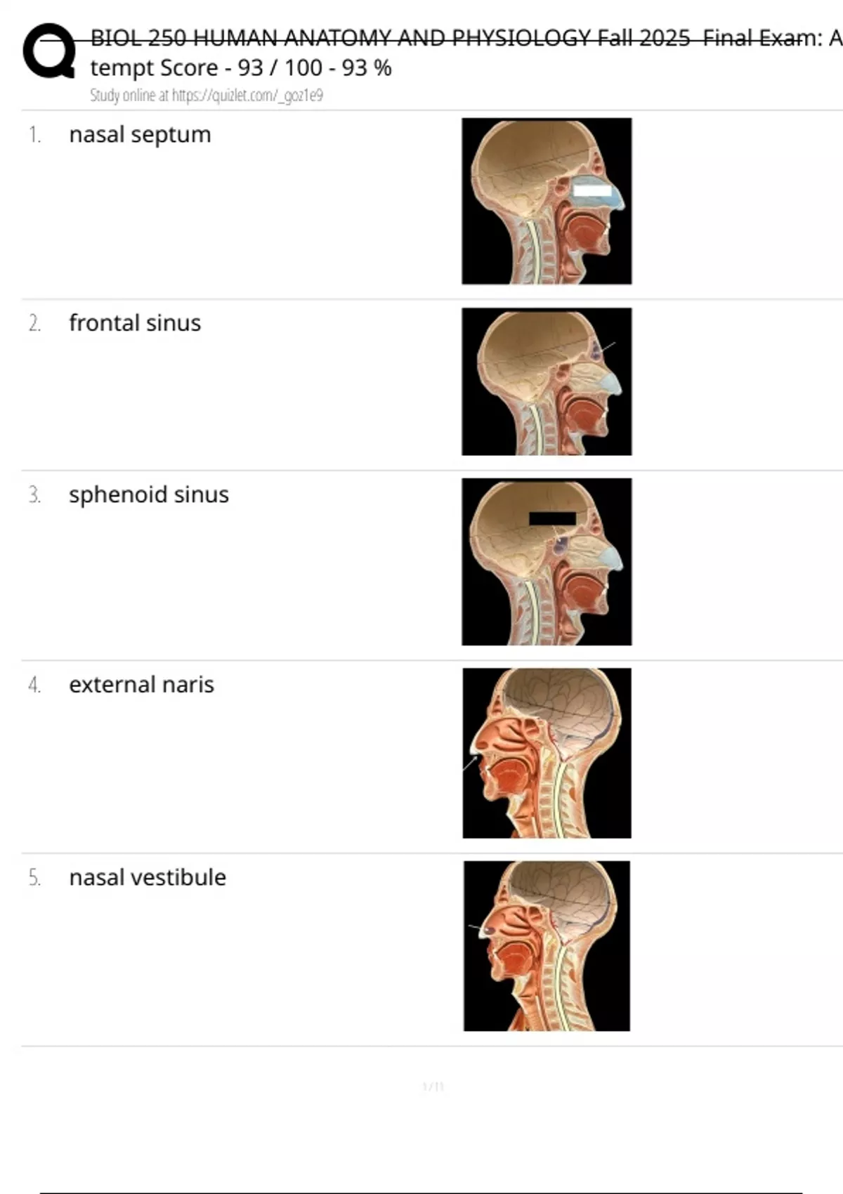 BIOL 250 HUMAN ANATOMY AND PHYSIOLOGY Fall 2025 Final Exam: Attempt ...