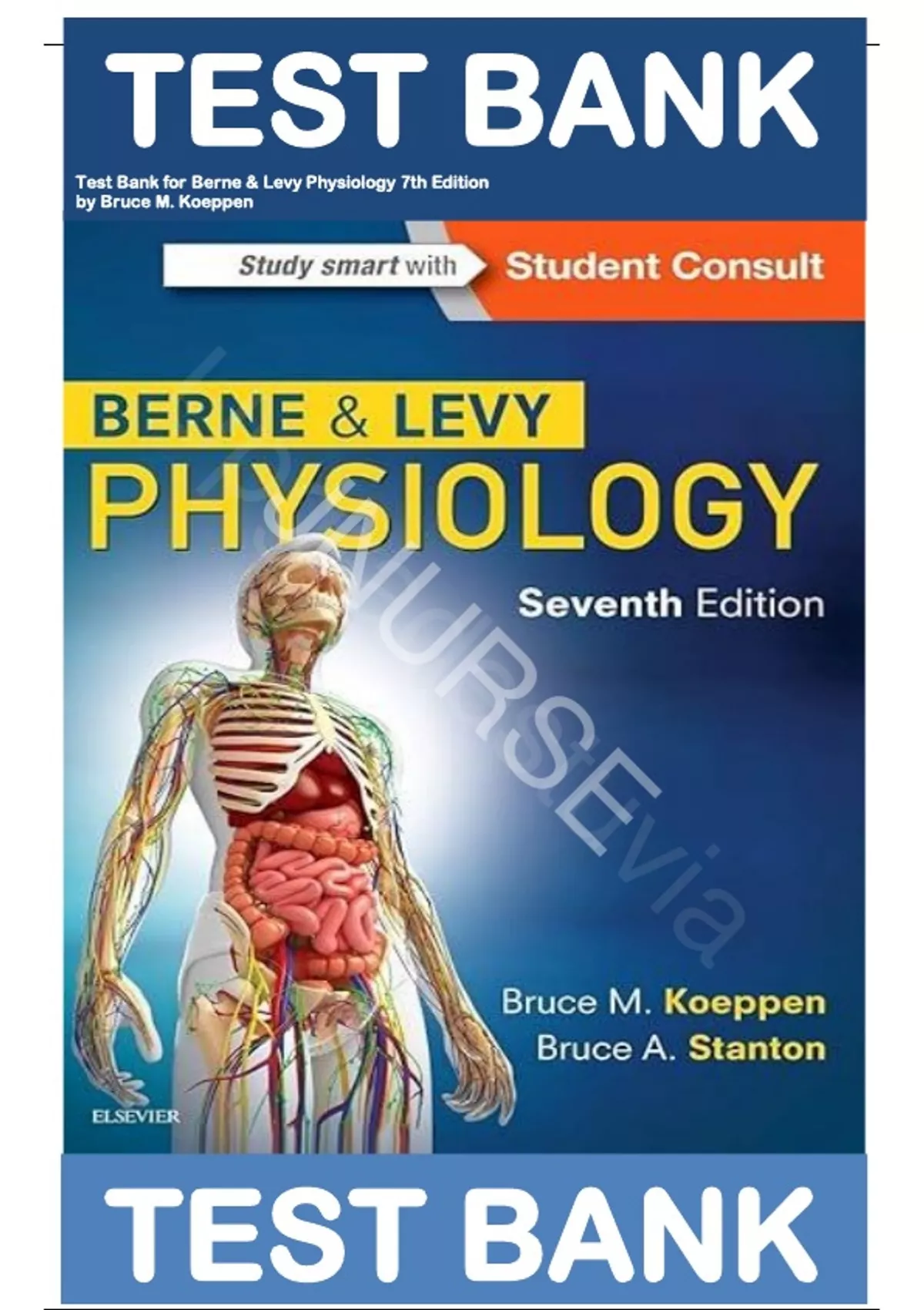 Test Bank for Berne & Levy Physiology 7th Edition by Bruce M. Koeppen ...