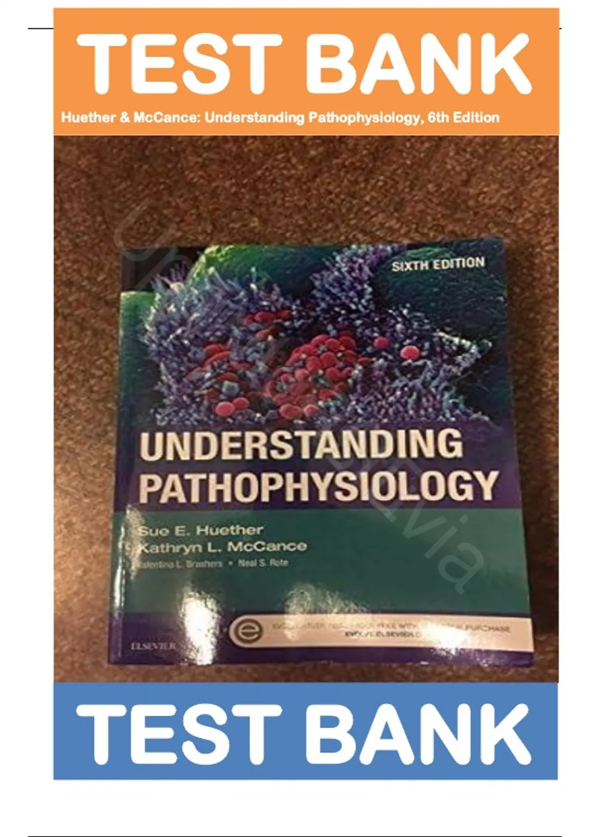 Test Bank for Understanding Pathophysiology 6th Edition by Sue E ...