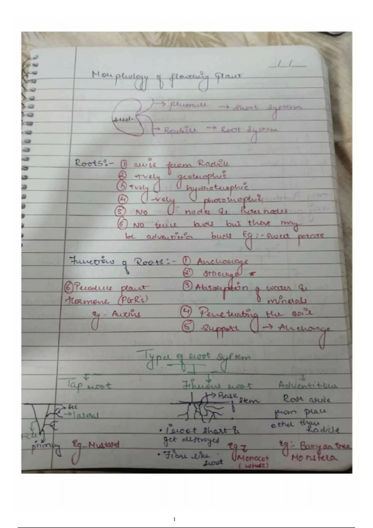 Class notes NEET , NEET EXAM BIOLOGY NOTES OF MORPHOLOGY OF FLOWERING ...
