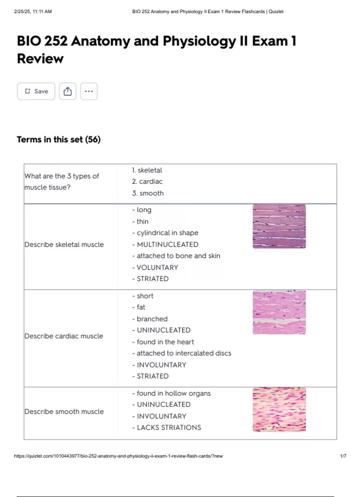 BIO 252 Anatomy and Physiology II Exam 1 Review - BIO 252 Anatomy and ...