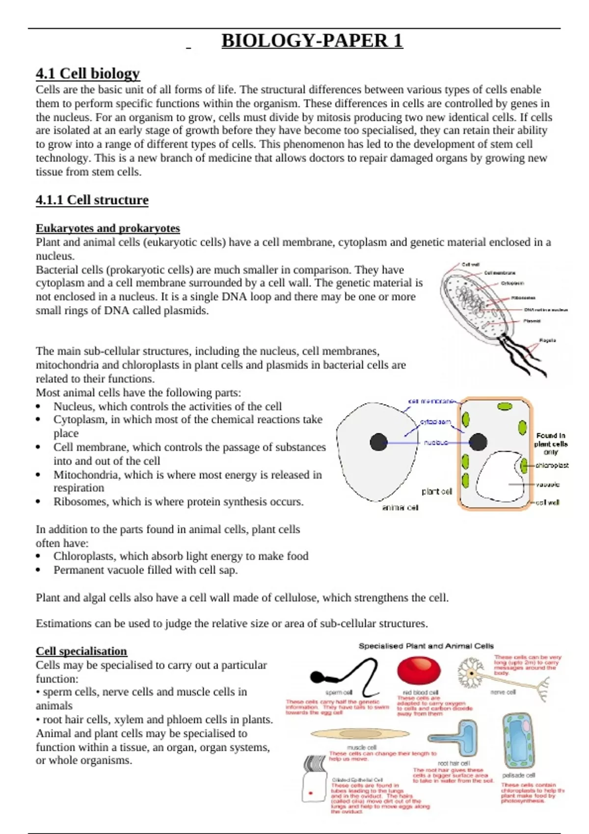 Summary AQA GCSE BIOLOGY HIGHER PAPER 1 NOTES - BIOLOGY - Stuvia UK