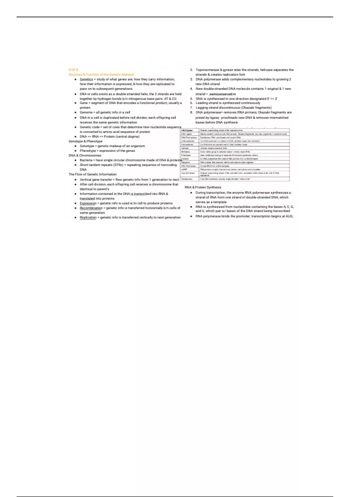 BIOL 230 Chapter 8 Summary - Biol 230 - Stuvia US