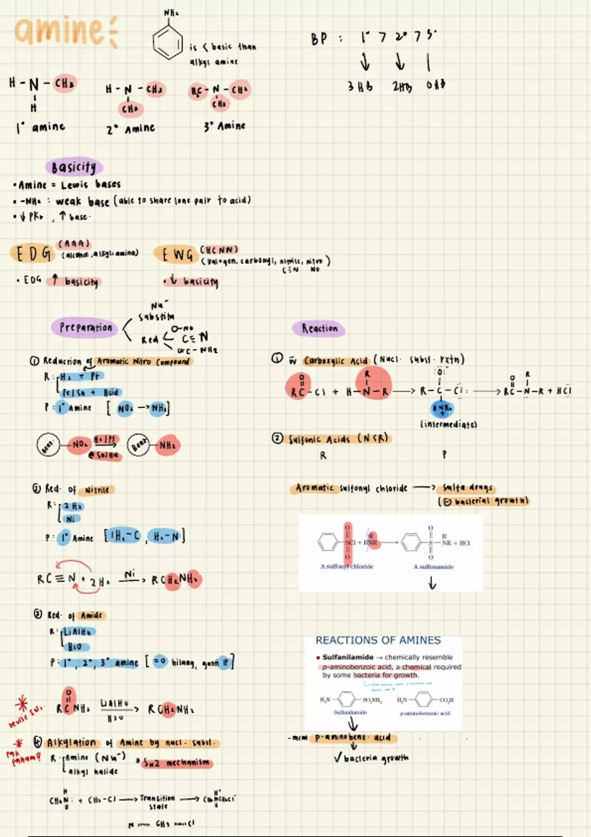 Amine notes - Nfnf1813 - Stuvia US