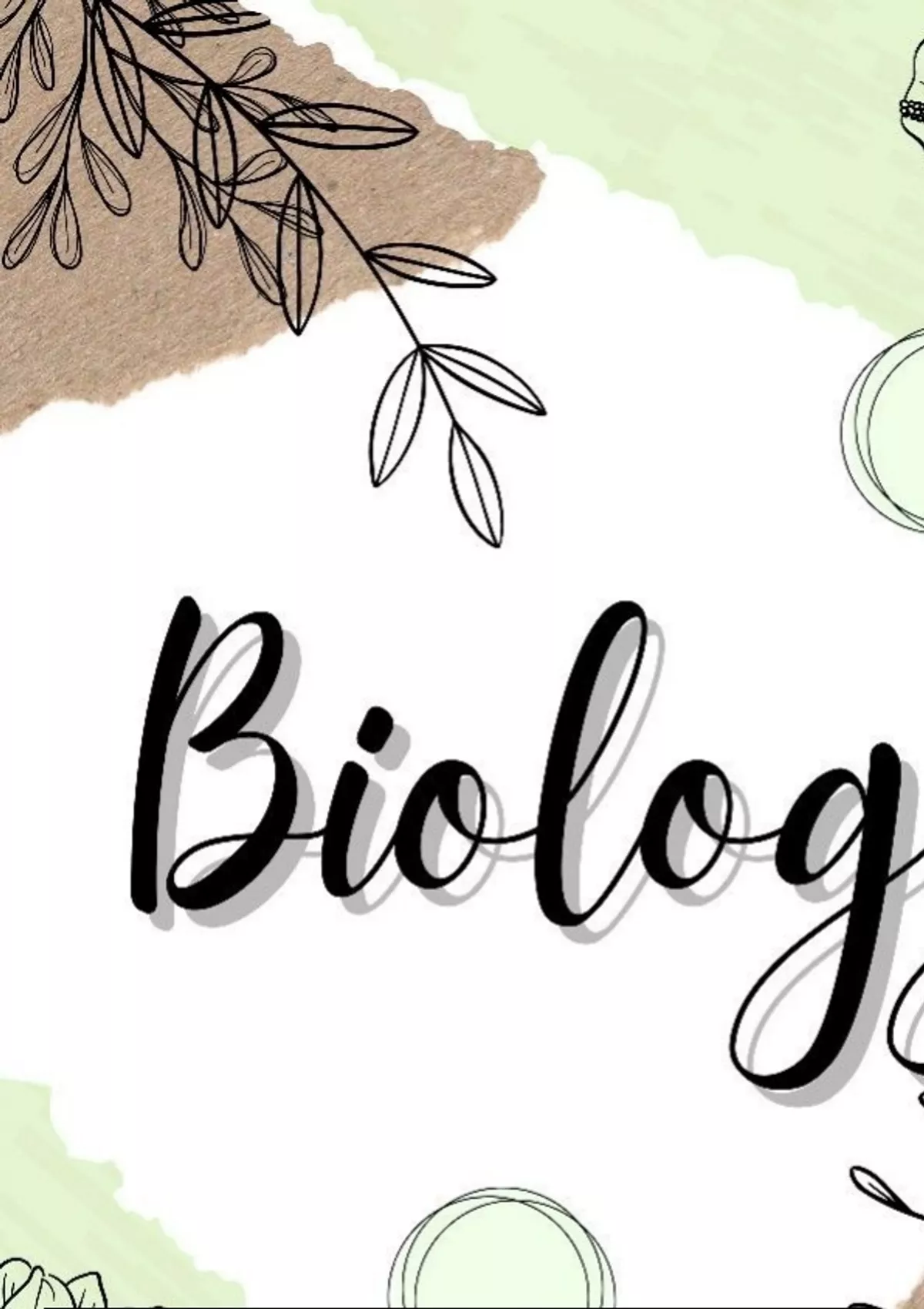 Summary GCSE Biology B1-B4 - Biology - Stuvia UK
