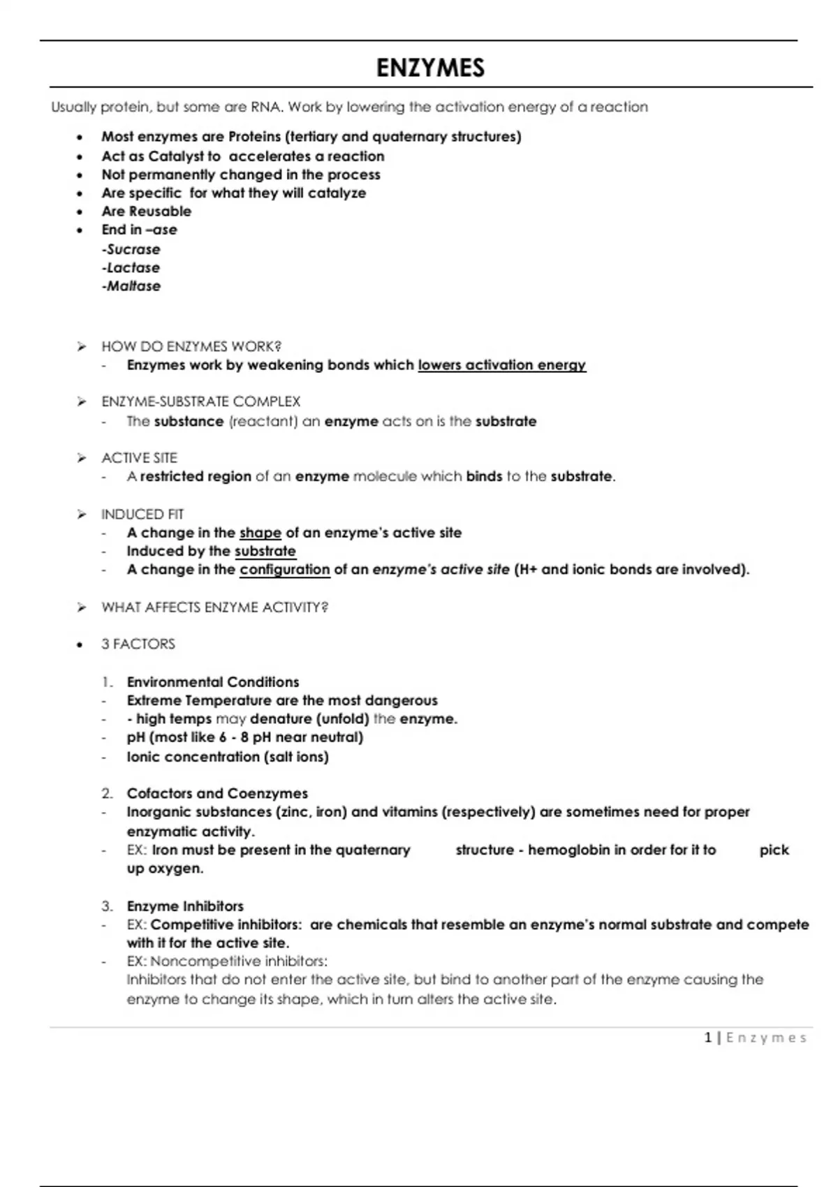 ENZYMES summary for biology 2025 cheet sheet - Biology 121 - Stuvia US