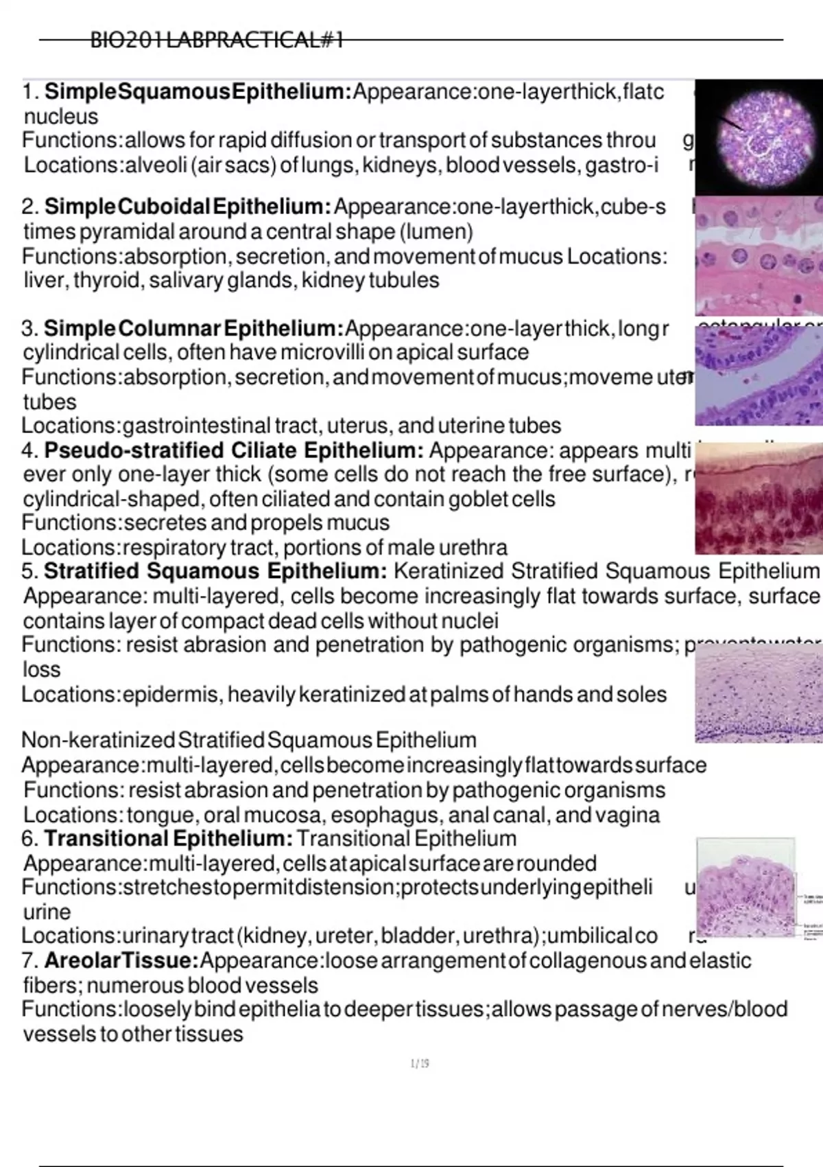 BIO 201 LAB PRACTICAL -1 Questions and Answers - BIO 201 - Stuvia US