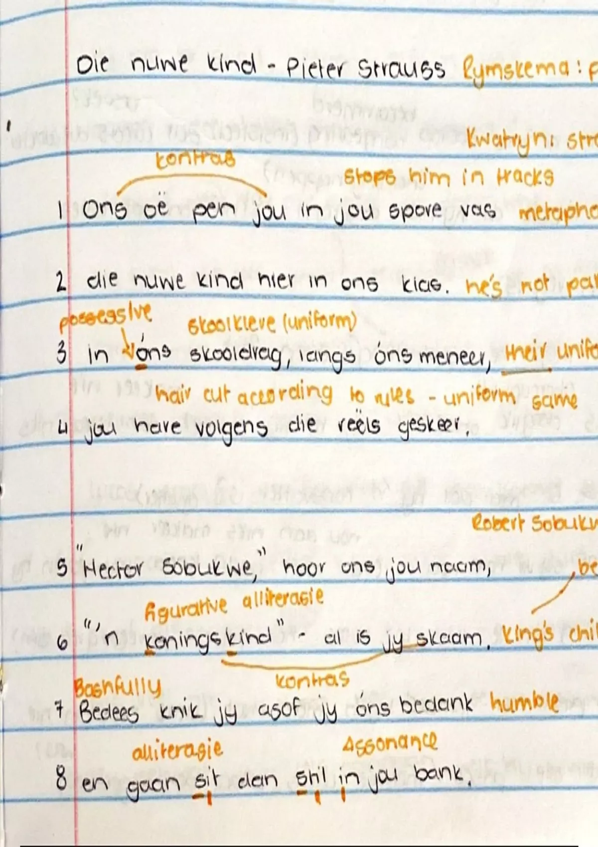 Summary IEB Grade 10 Afrikaans poem: Die Nuwe Kind - Afrikaans First ...