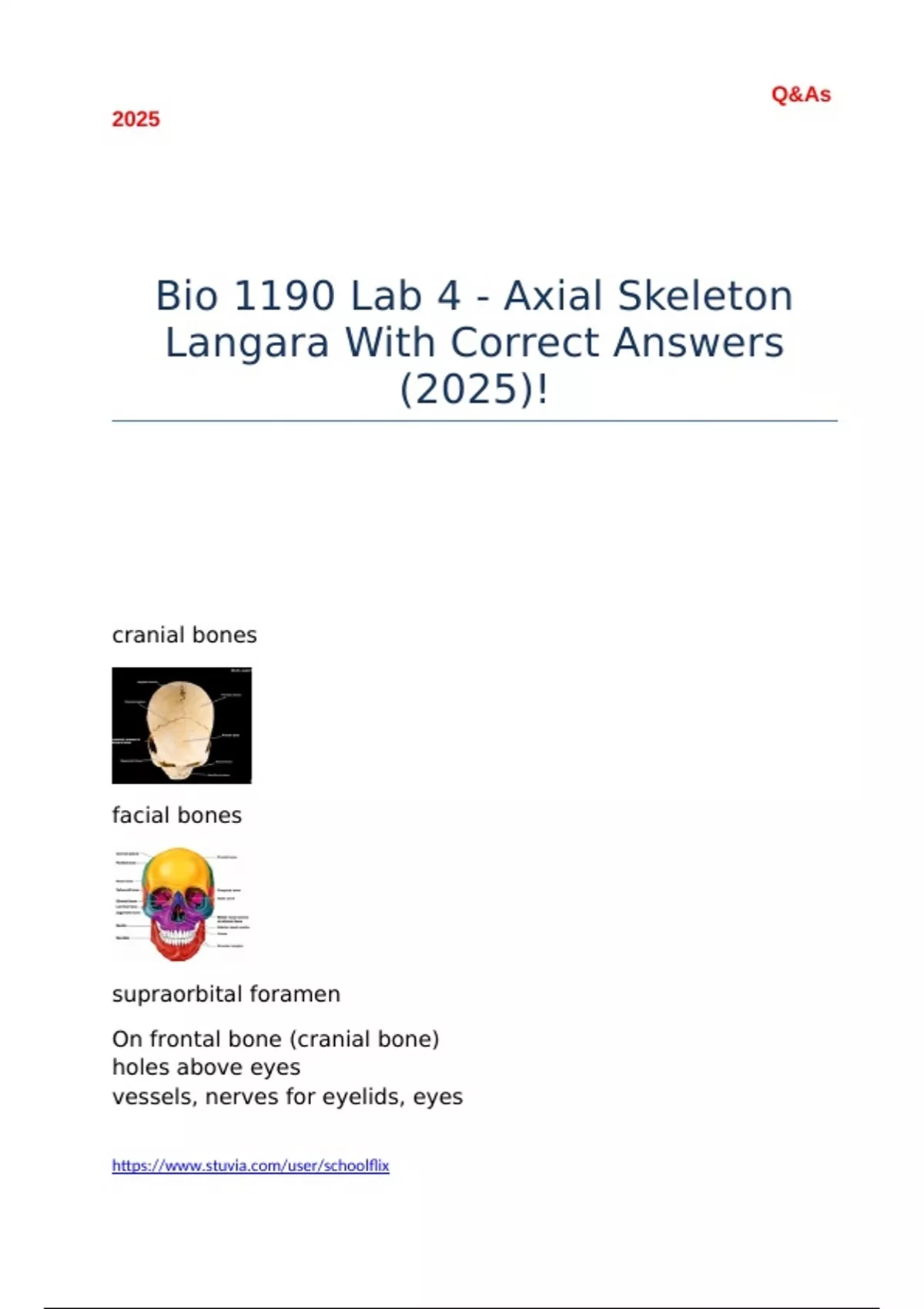Bio 1190 Lab 4 - Axial Skeleton Langara With Correct Answers (2025)!. - BIOL 1190 - Stuvia US