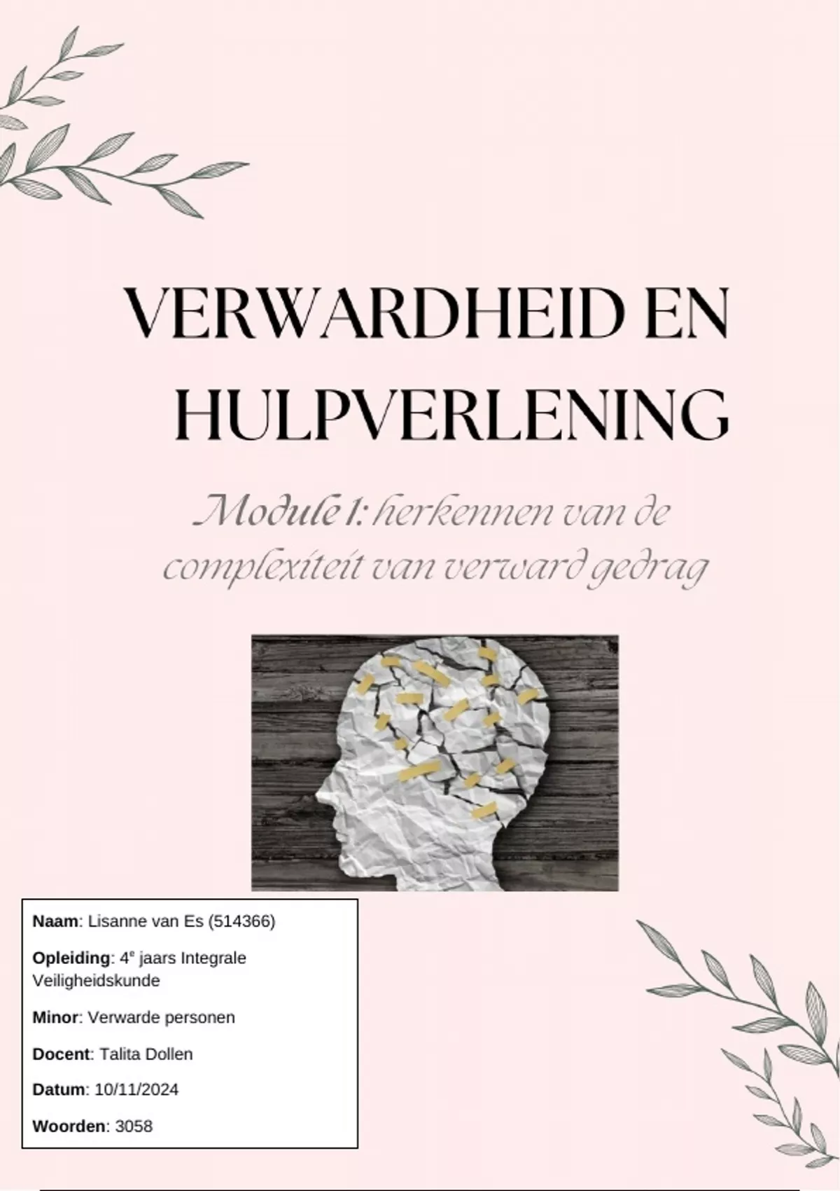 Verslag minor verwarde personen module 1: herkennen van de complexiteit ...