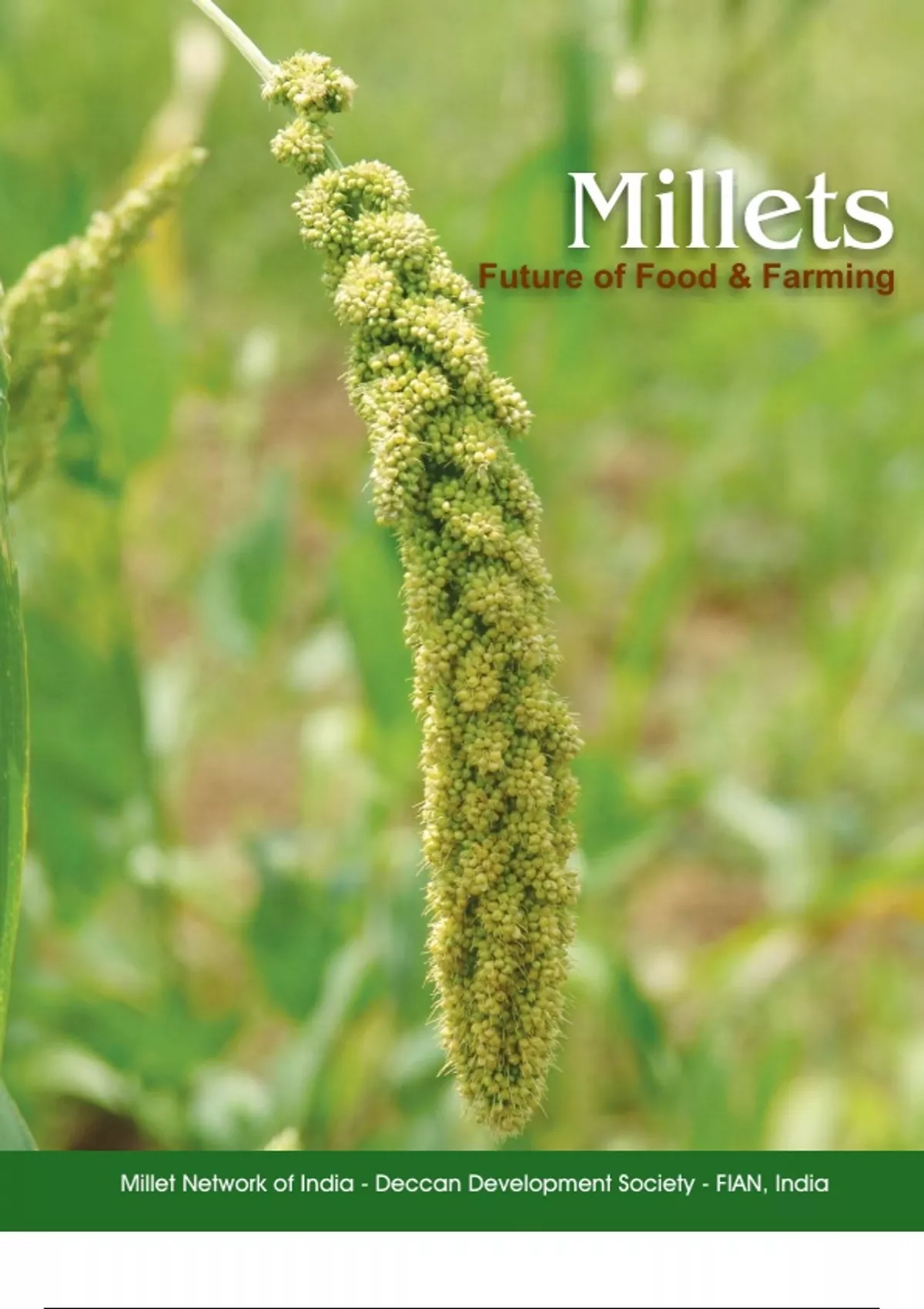 Millets Future of Food & Farming - Food Safety Management - Stuvia US