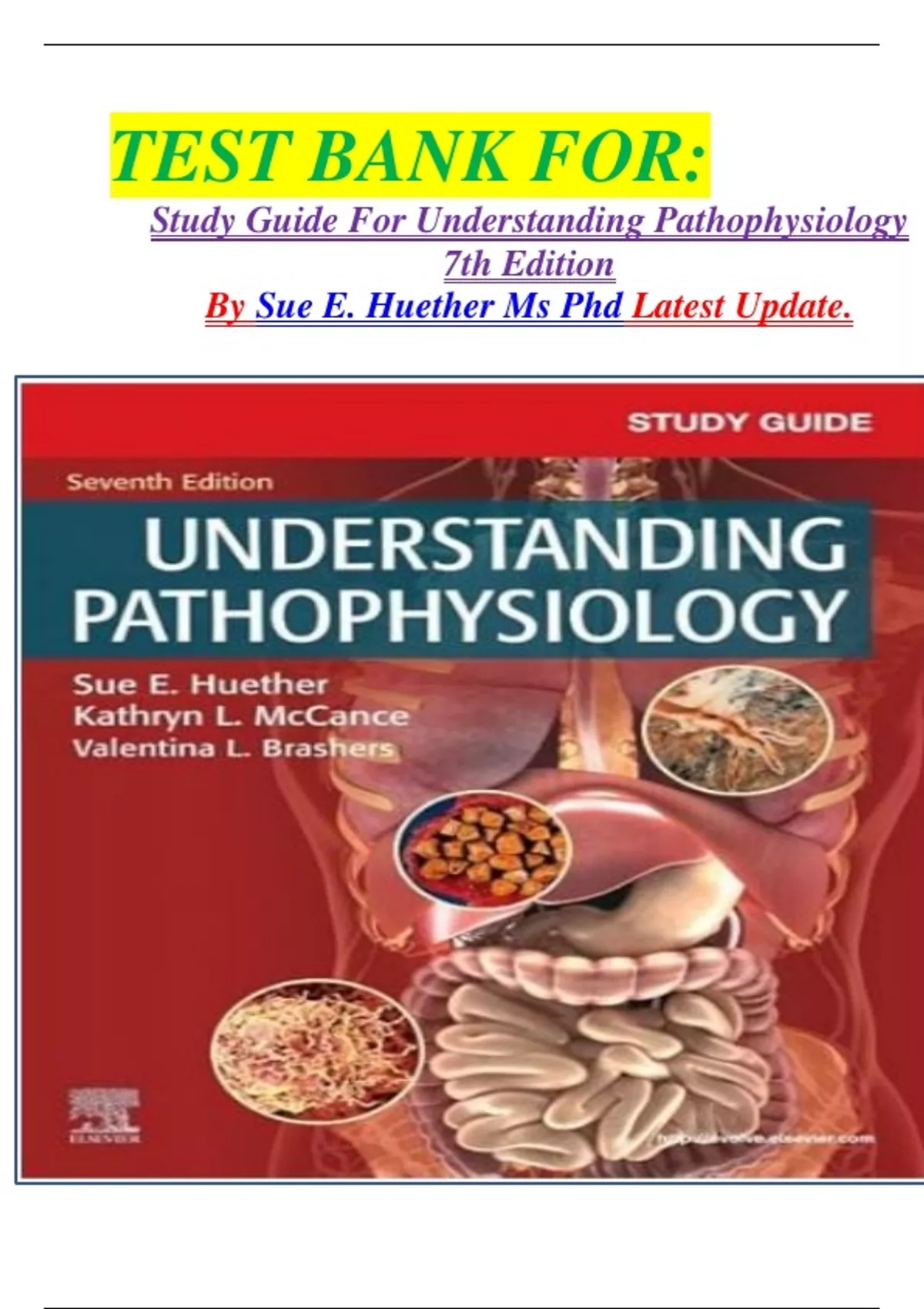 TEST BANK FOR: Study Guide For Understanding Pathophysiology 7th ...