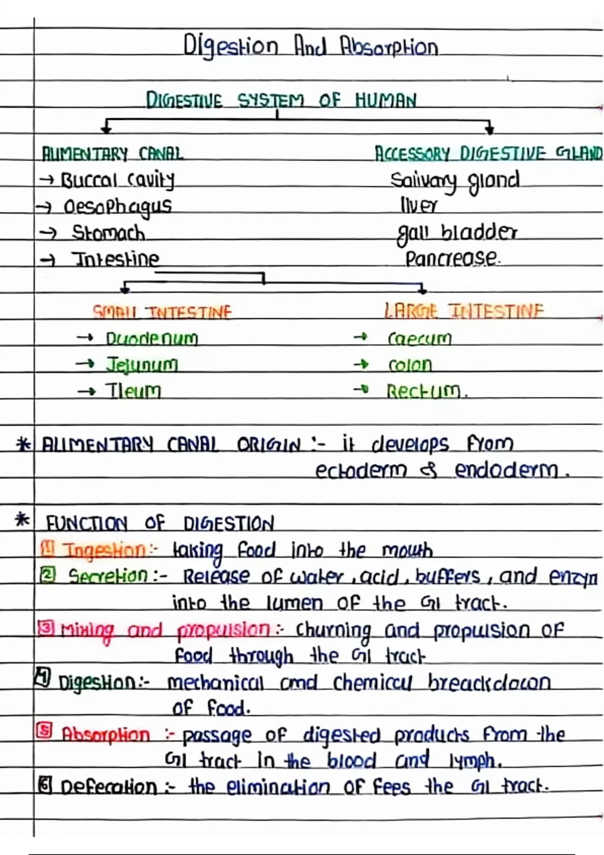 Digestion and absorption (the human digestive system) with diagrams ...