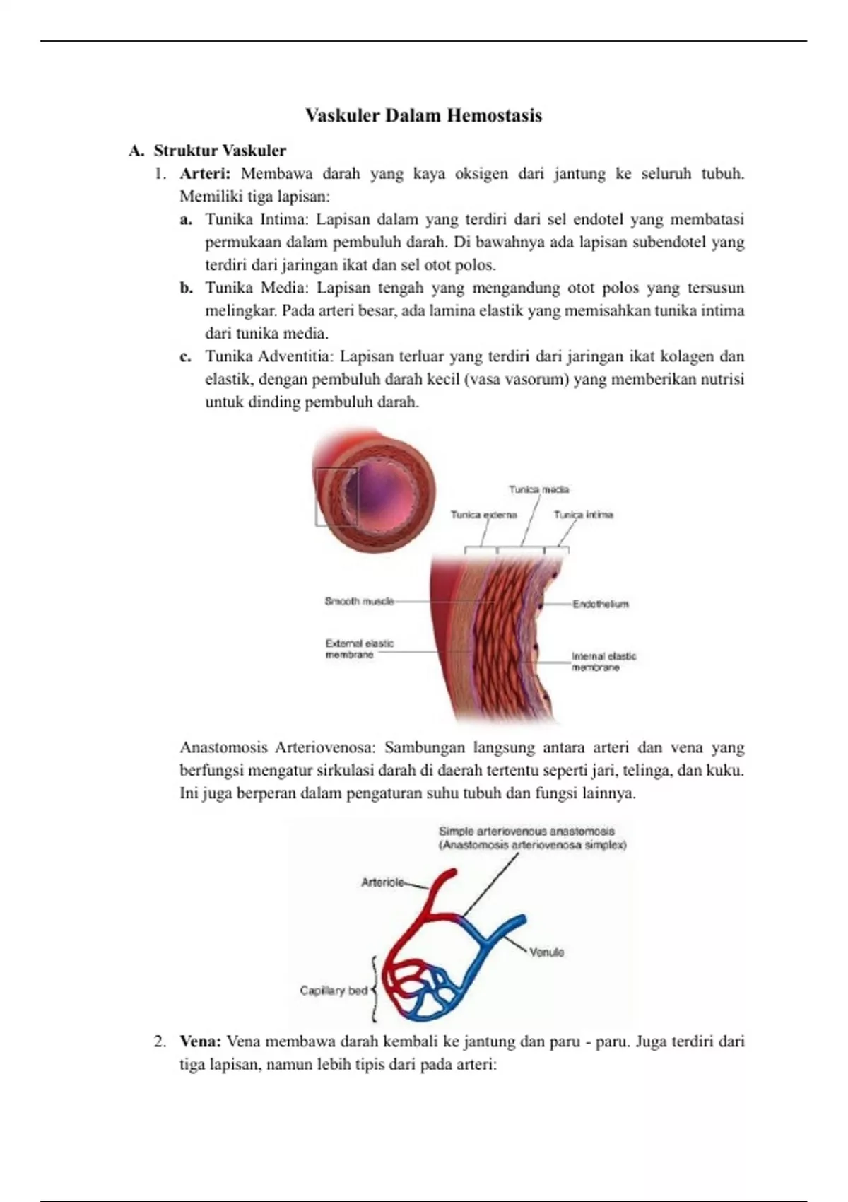 Summary Vaskuler Dalam Hemostasis - Hemostasis (HEMOSTASIS) - Stuvia US