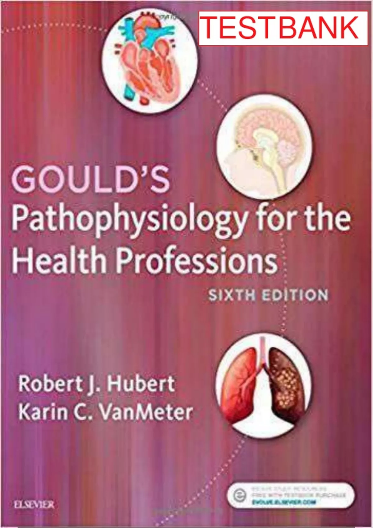 Gould's Pathophysiology for the Health Professions 6th Edition Hubert ...