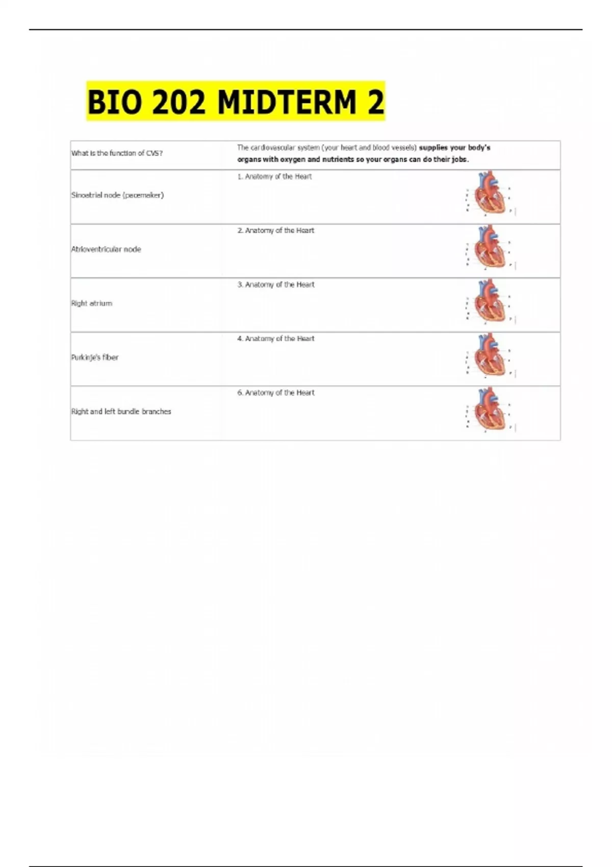 BIO 202 MIDTERM 2 - BIO 202 - Stuvia US
