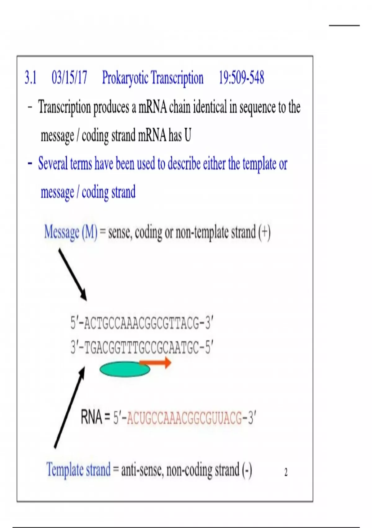 Molecular Genetic Exam 2025 Latest Release - Molecular genetic - Stuvia US