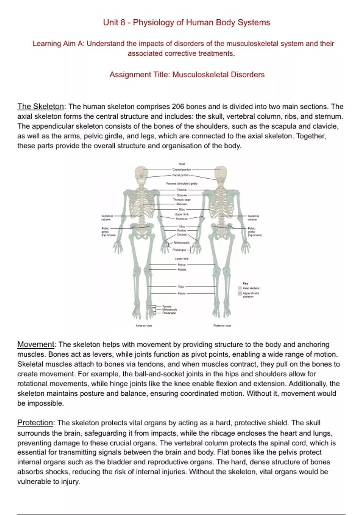 BTEC Applied Science Unit 8a Distinction Assignment - Physiology of Human Body Systems Title ...