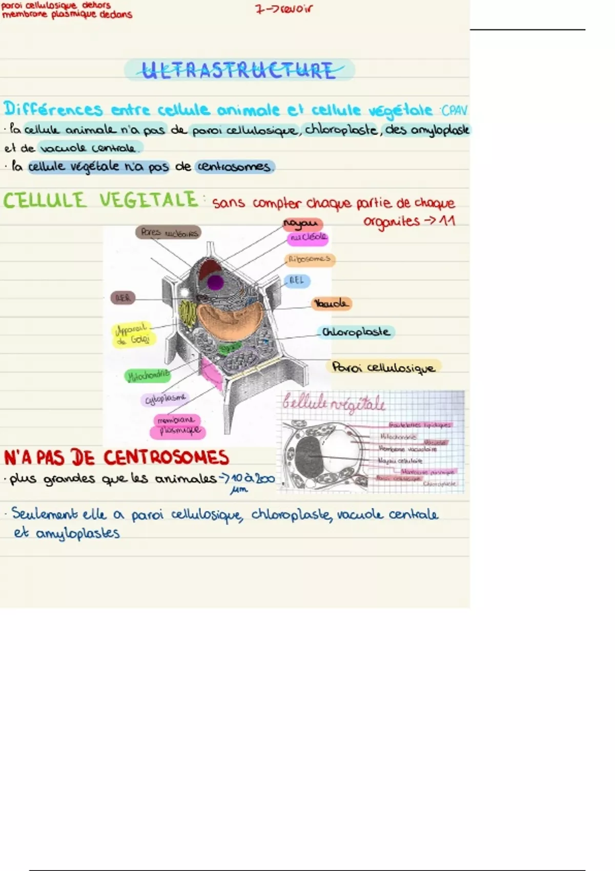 Summary - parties de la cellule biologie - Biology - Stuvia US