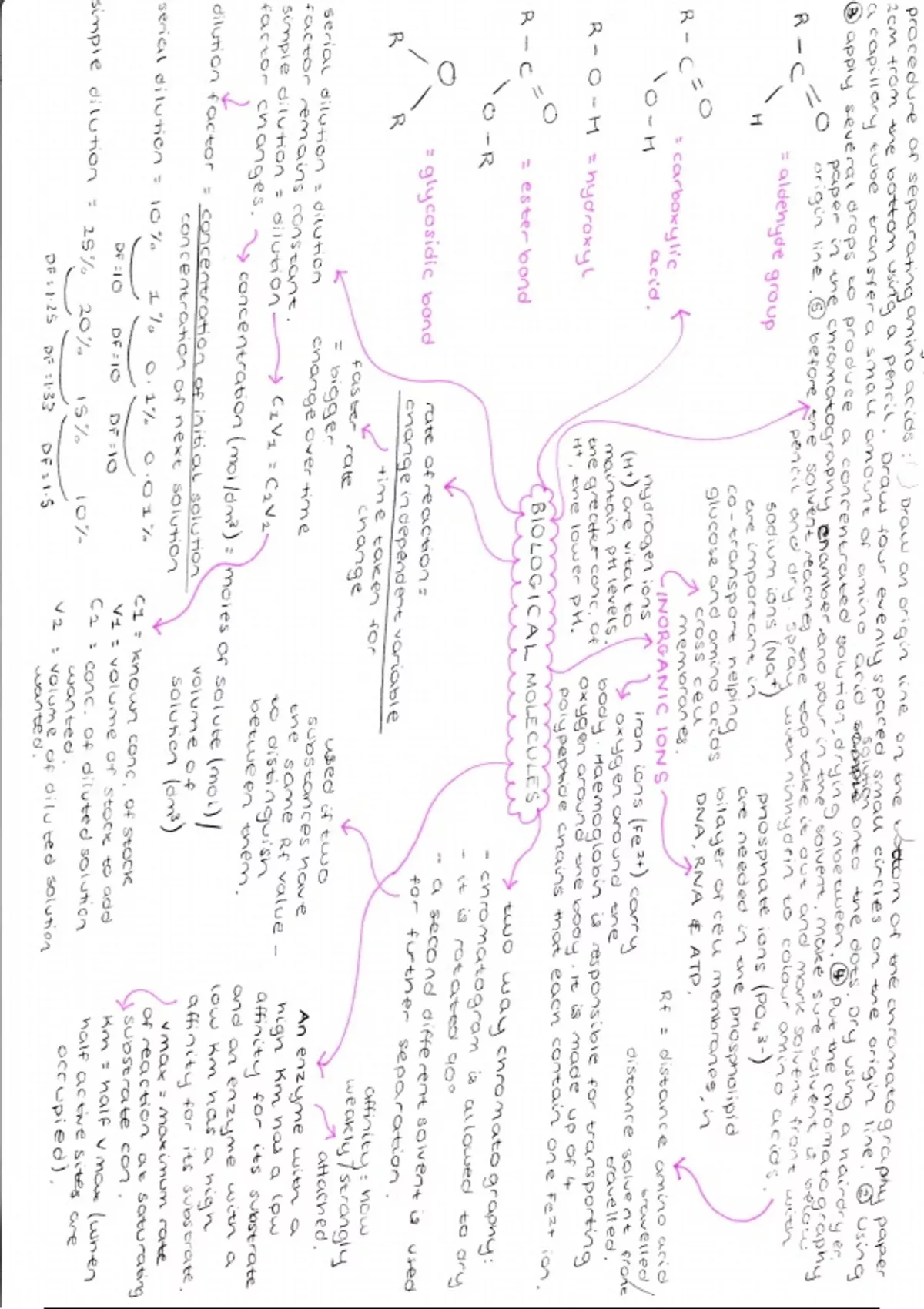Summary Biological Molecules Mind Map - Inorganic Ions, Chromatography & Dilutions - Unit 1 ...