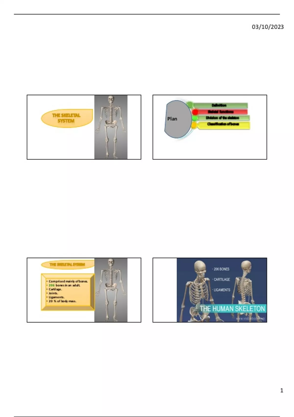 Généralités sur le système osseux - Anato24 (ANATO24) - Stuvia US