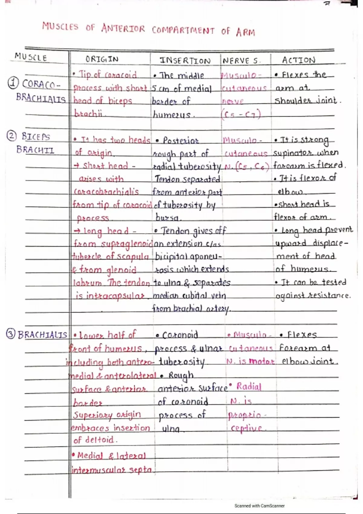 The Ultimate Muscle Atlas: A summary of all body muscles - DMIHER ...