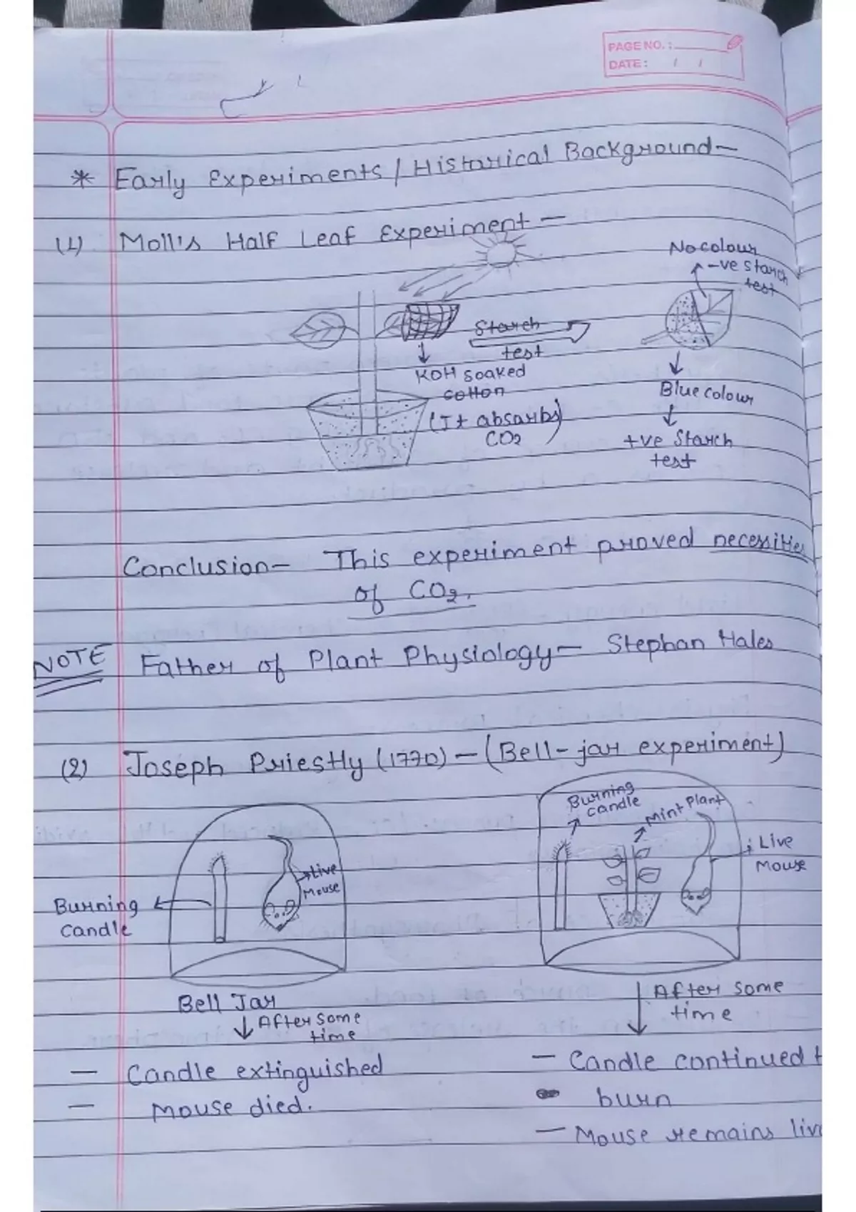 Class 11 Biology notes - Biology - Stuvia US