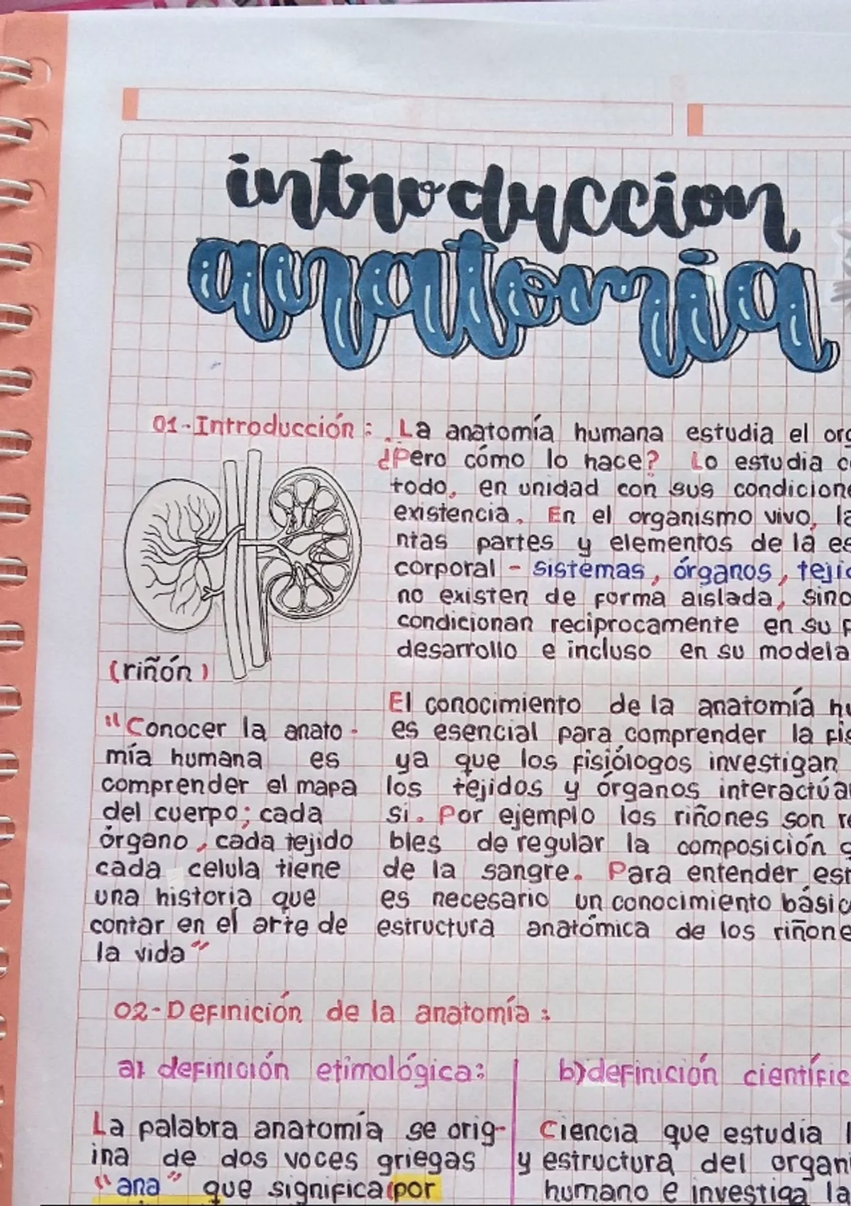 Sumario INTRODUCCION A LA ANATOMIA HUMANA - Anatomia-medicina - Stuvia US