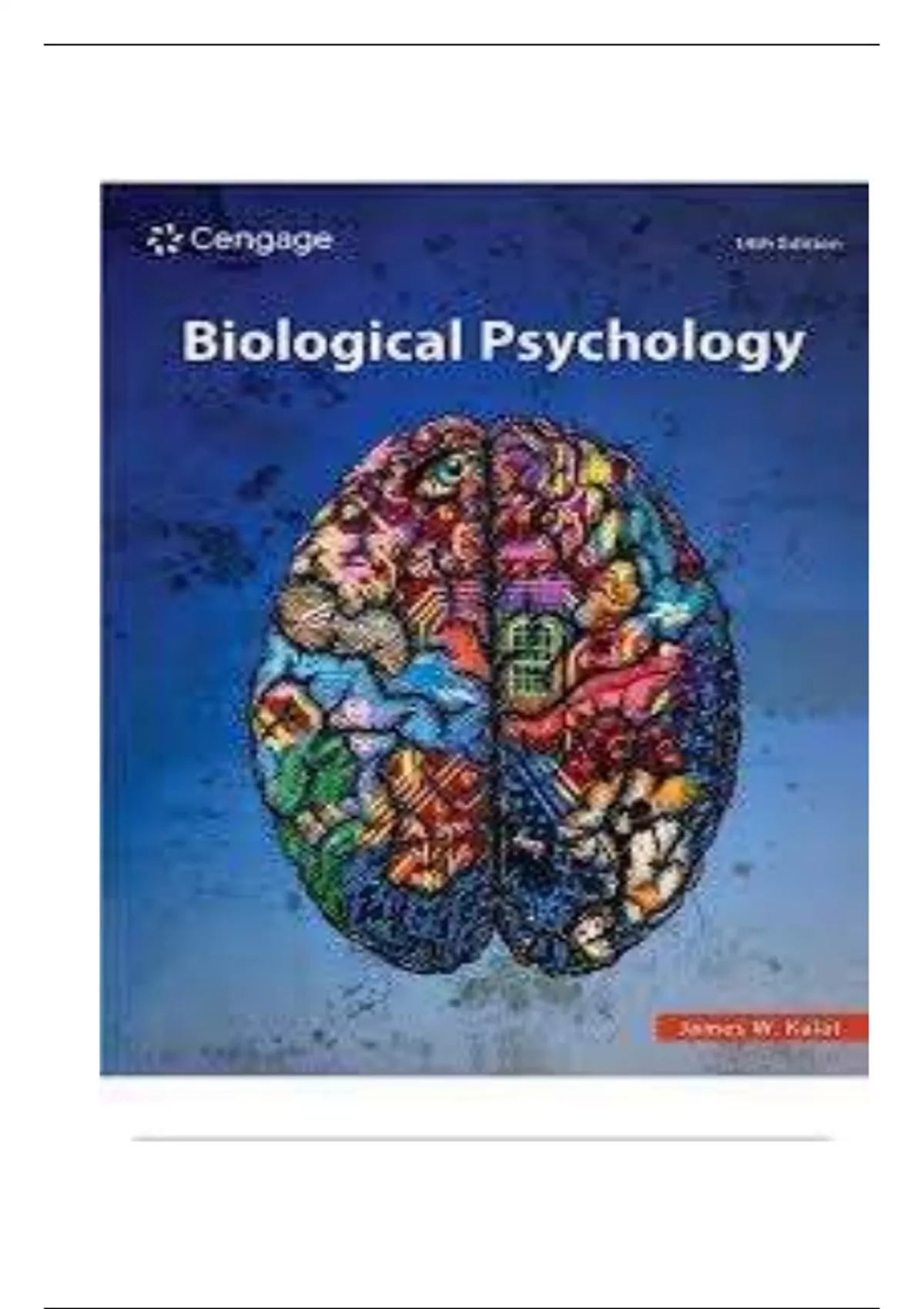 Test Bank For Biological Psychology, 14th Edition, James W. Kalat ...