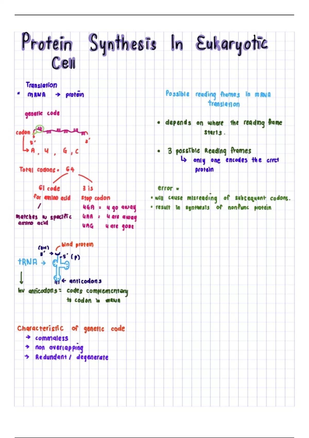 Protein Synthesis in Eukaryotic cell - Introduction to cell biology ...