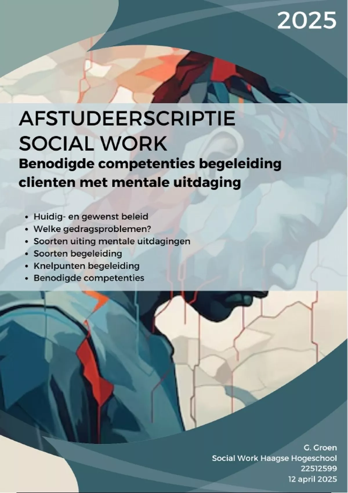 Scriptie Social Work Haage Hogeschool 2025 - Competenties nodig ...