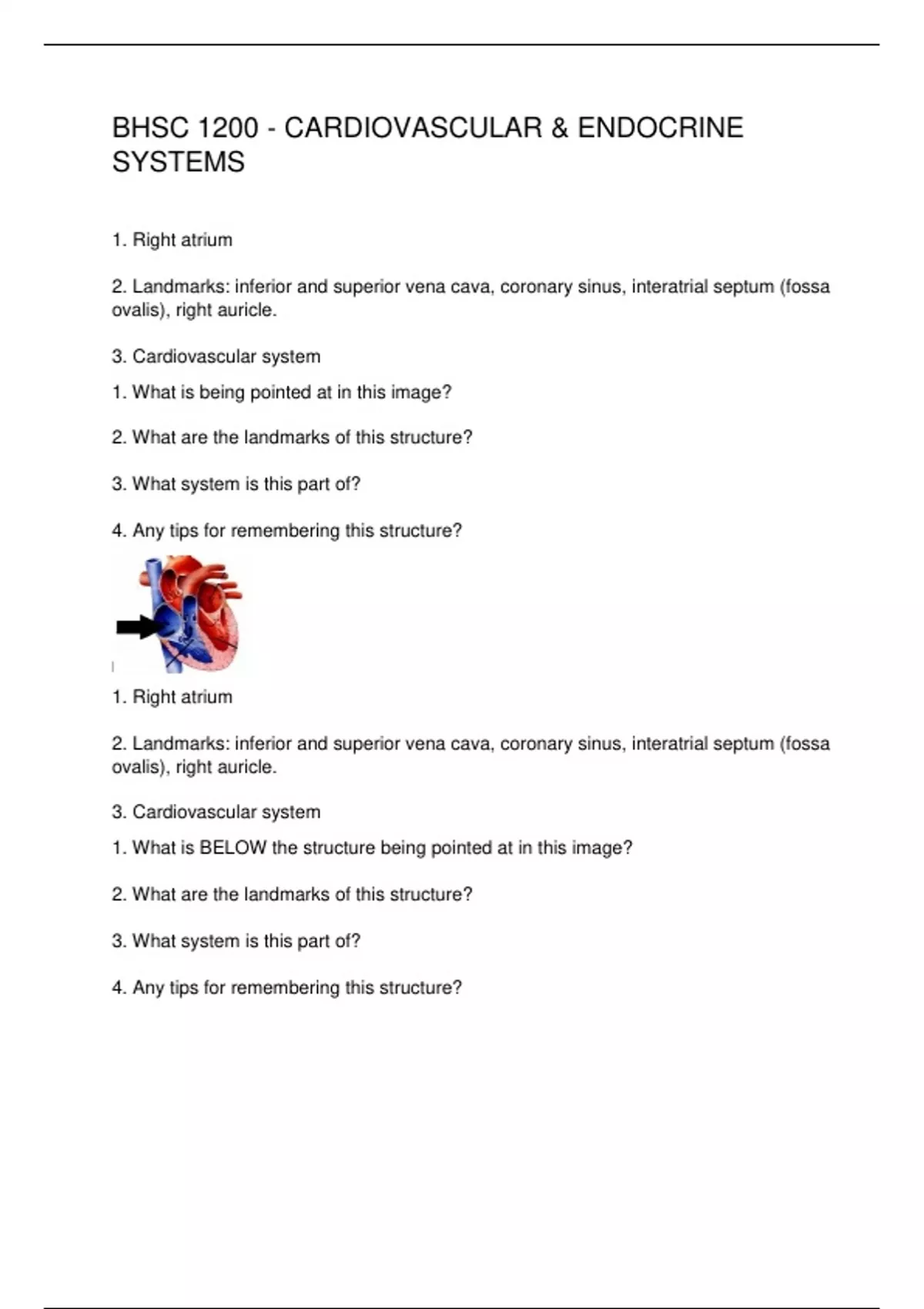 BHSC 1200 - CARDIOVASCULAR & ENDOCRINE SYSTEMS - BHSC 1200 - Stuvia US