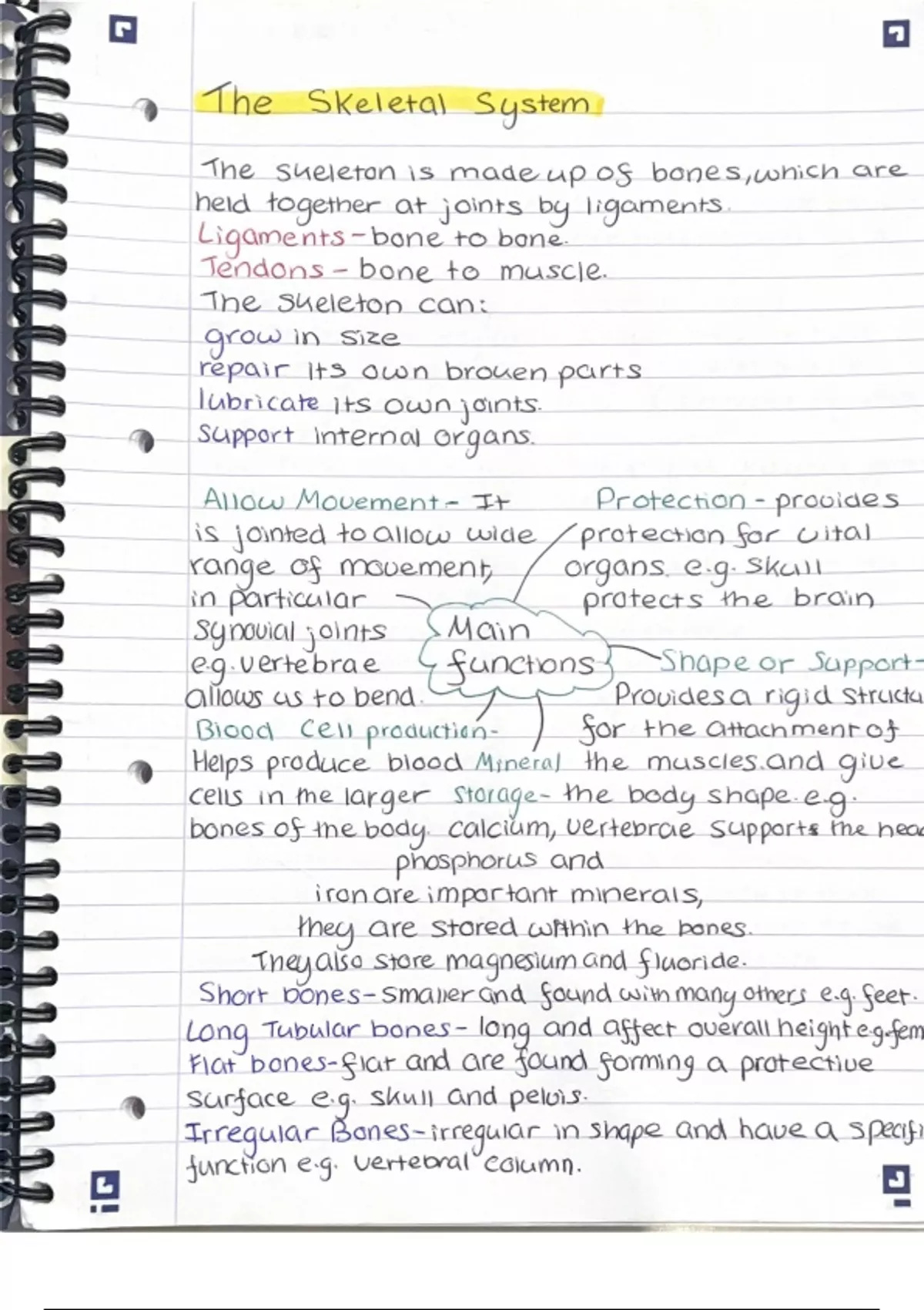 Class notes Physical education gcse - Physical education - Stuvia US