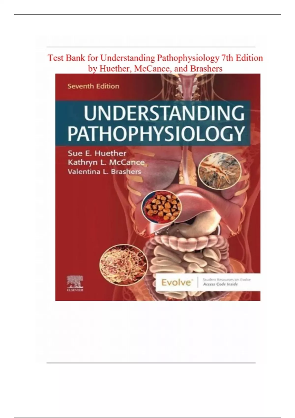 Test bank- Understanding Pathophysiology 7th Edition Understanding ...