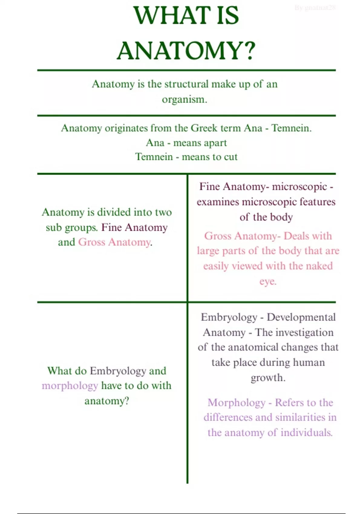 Anatomy – Foundational Overview of Structural Biology Concepts ...