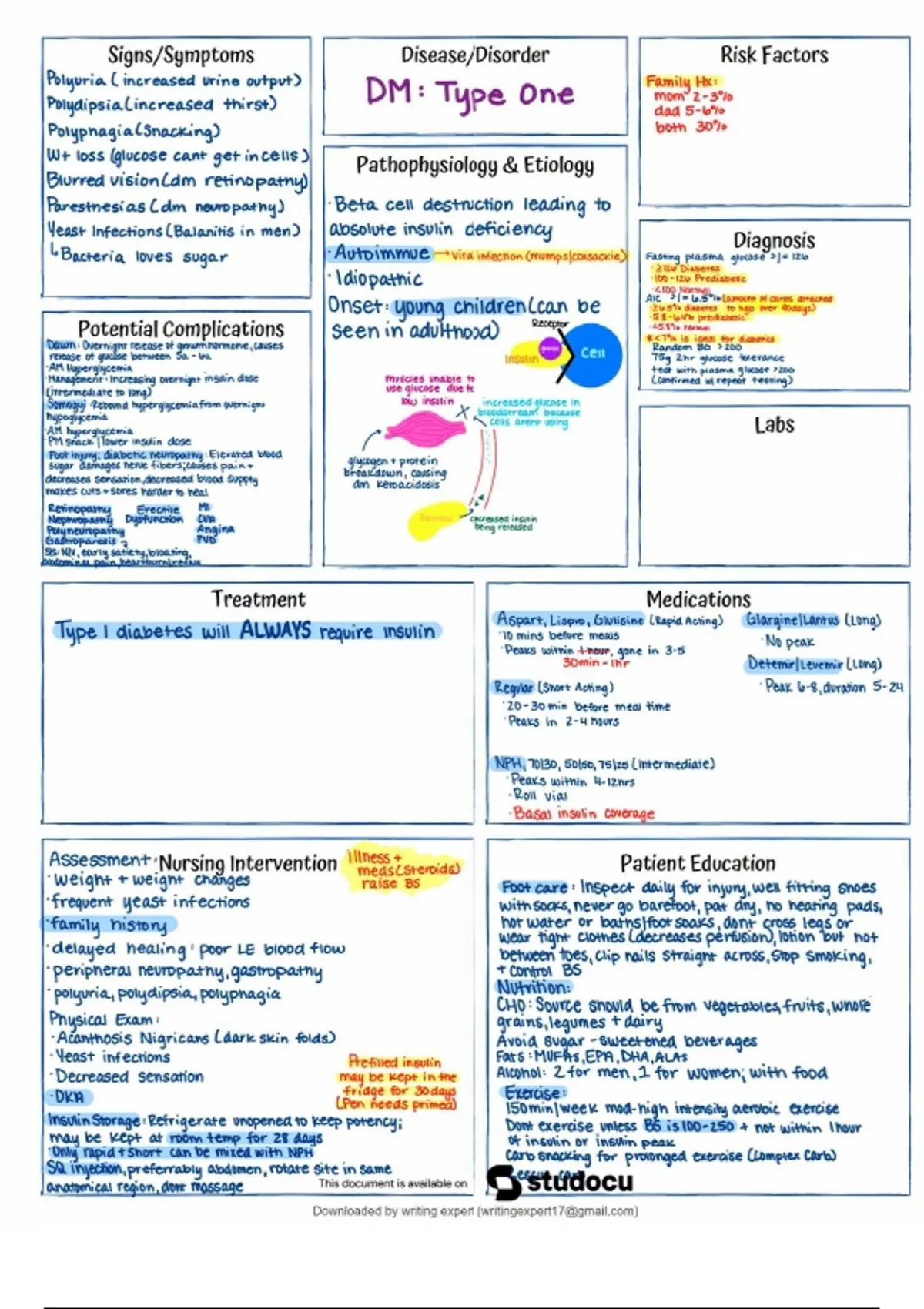 NUR 170 Diabetes Concept Maps – Galen College of Nursing 2025 Update ...