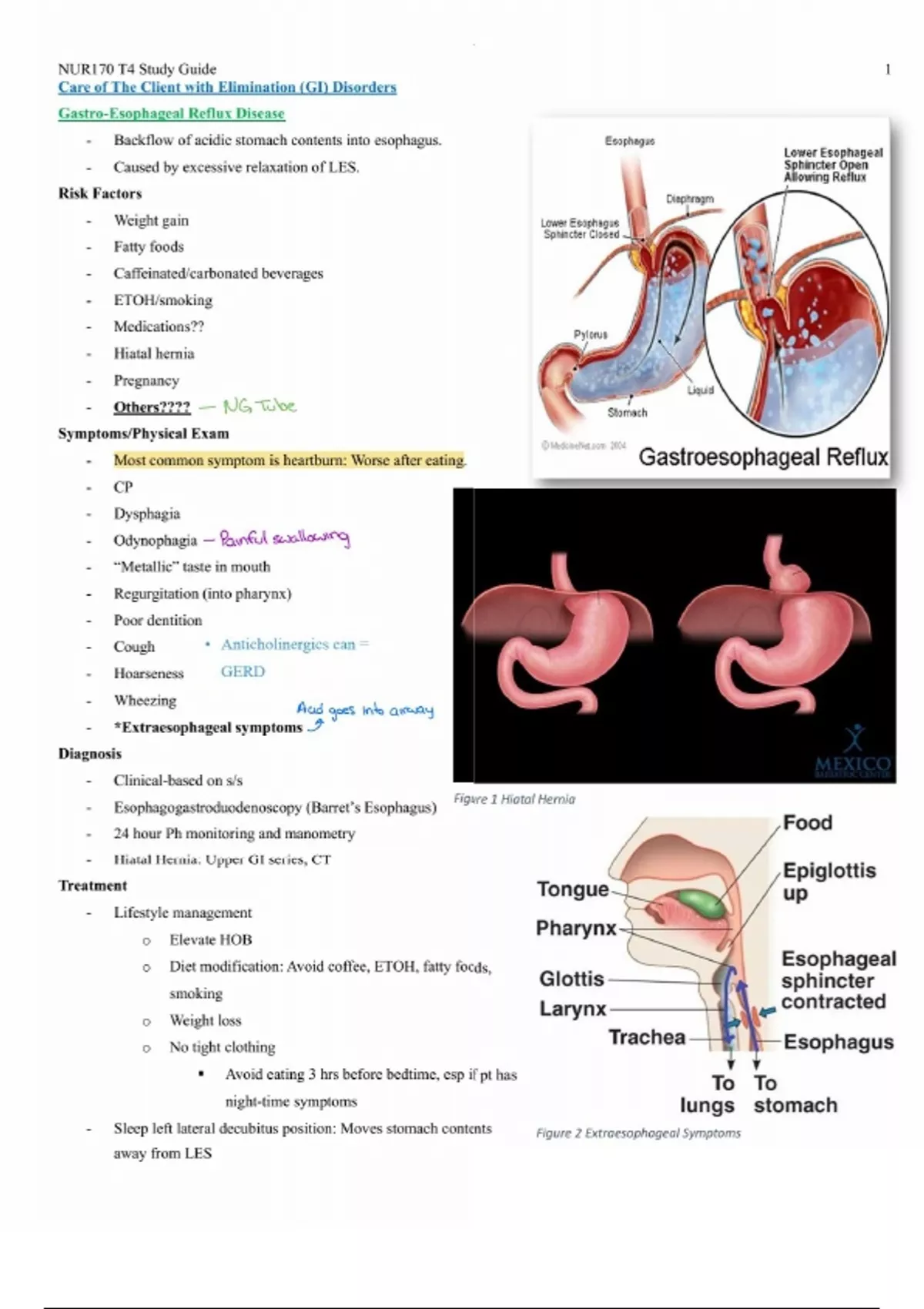 NUR 170 T3 Study Guide 1 – Care of the Client with Diabetes Mellitus ...