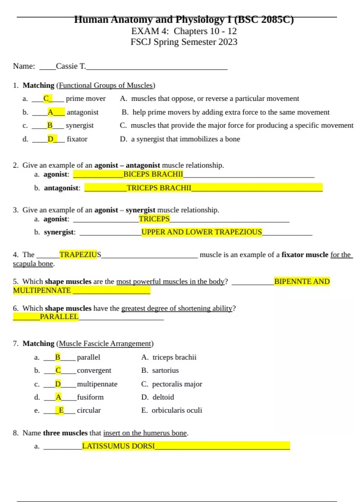 Human Anatomy and Physiology I (BSC 2085C) EXAM 4 Chapters 10 - 12 Test ...