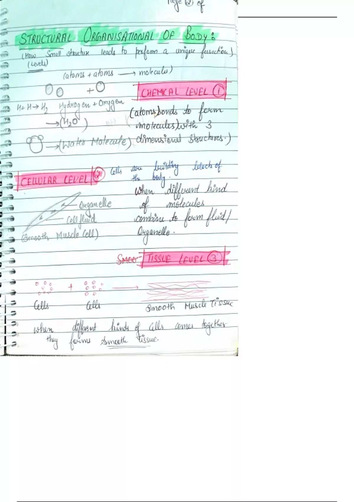 6 levels of organisms - 108323F - Stuvia US