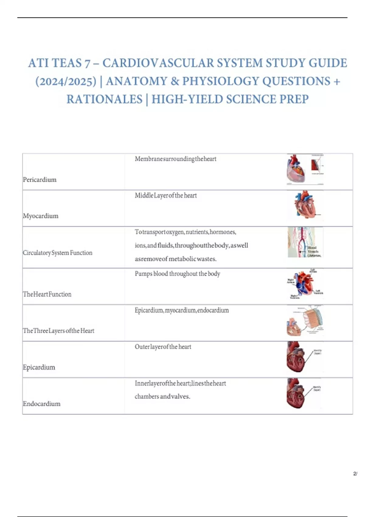 ATI TEAS 7 – Cardiovascular System Study Guide (2024/2025) | Anatomy ...