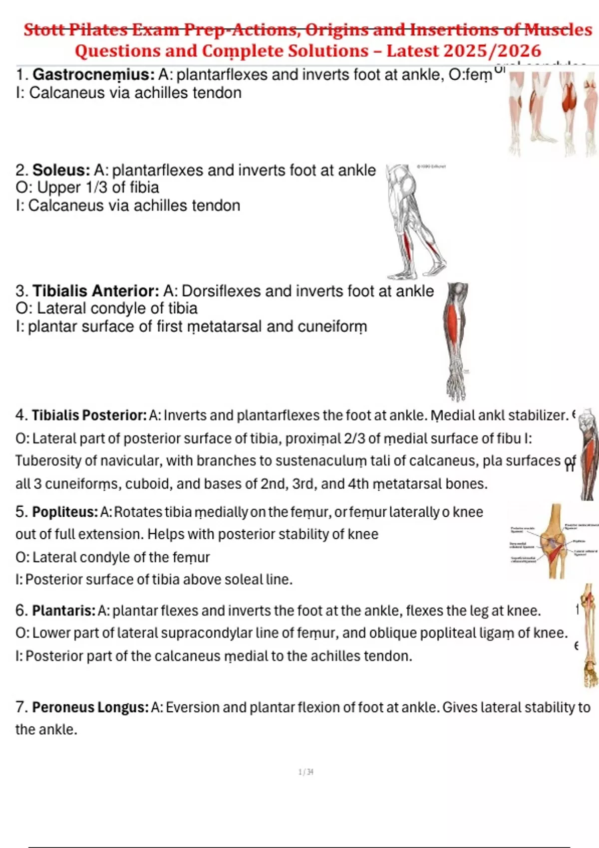 Stott Pilates Exam Prep – Actions, Origins and Insertions of Muscles ...