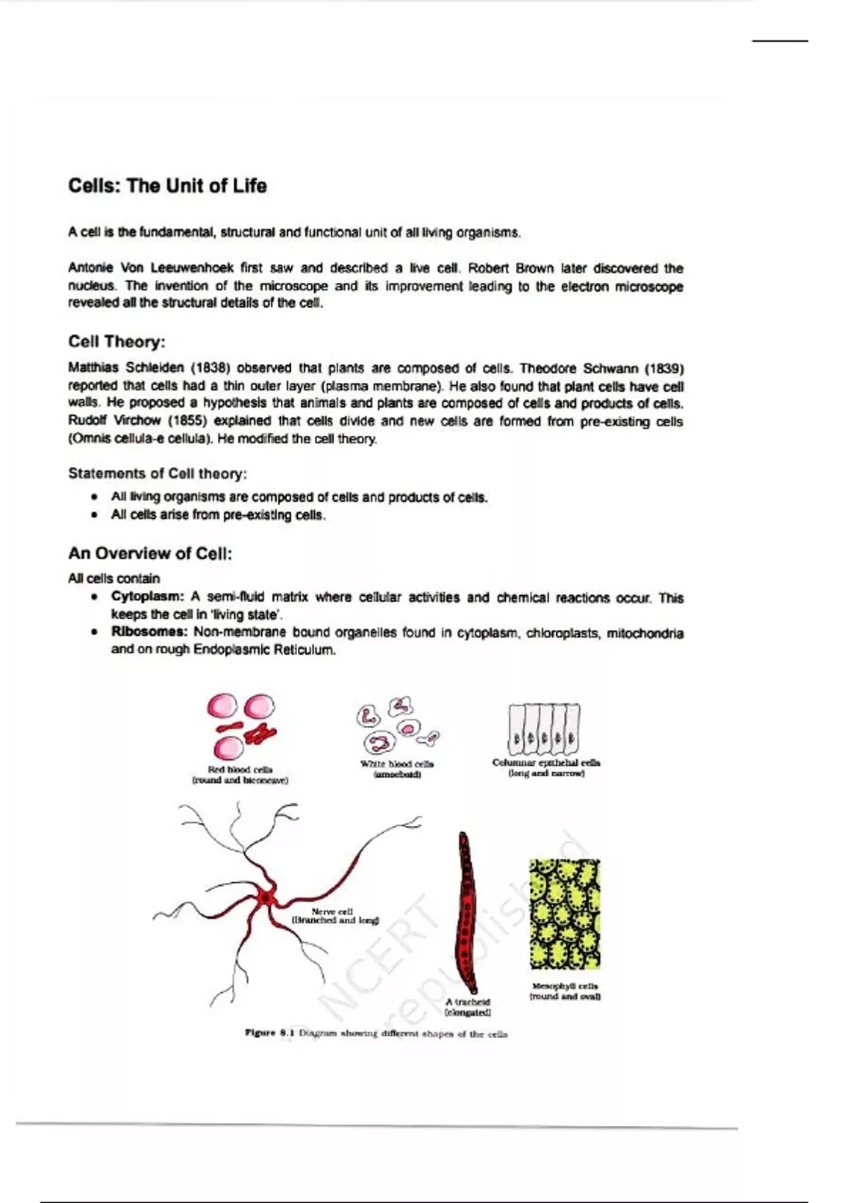 Summary Cell the fundamental unit of life - Biology - Stuvia US