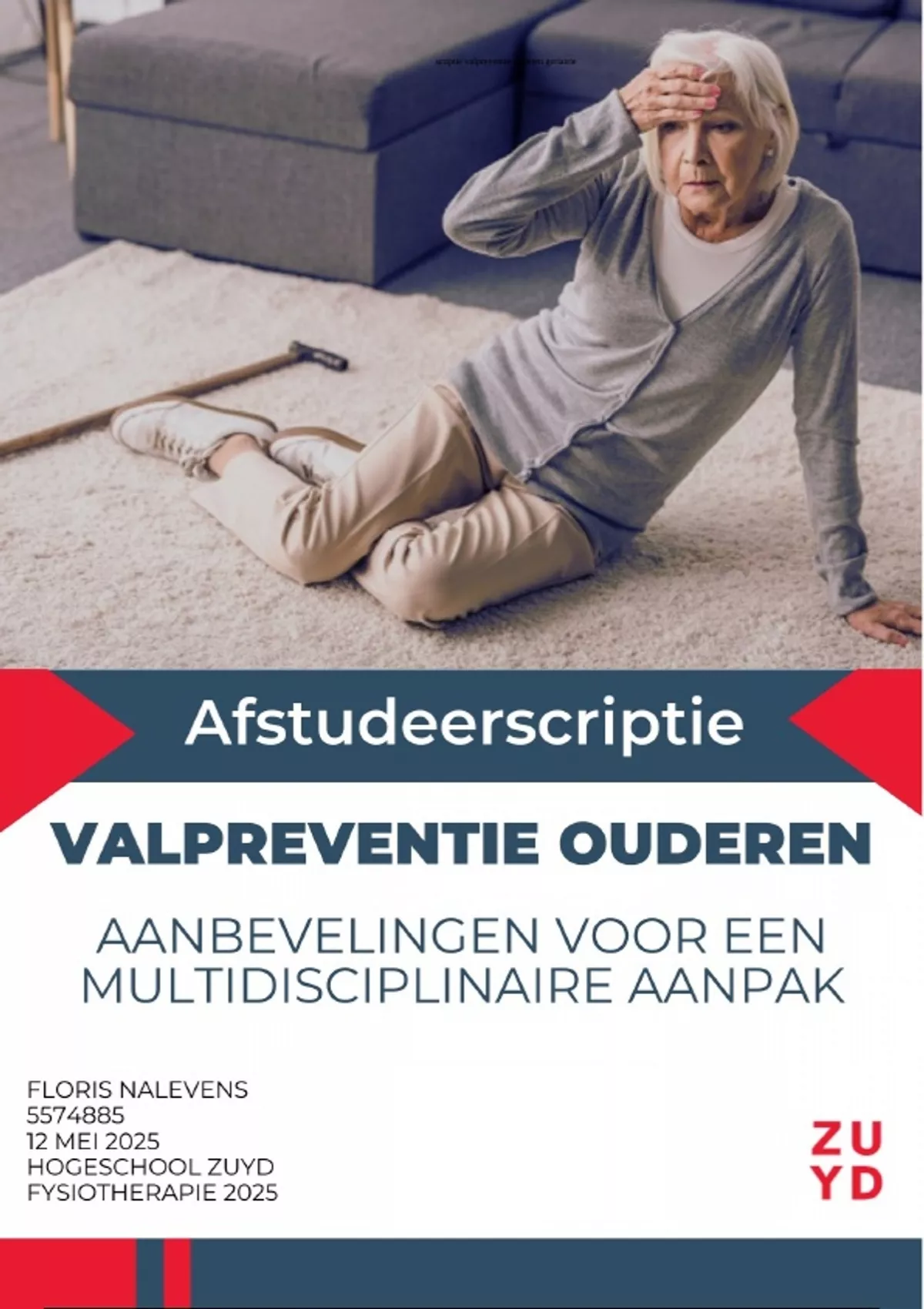 Scriptie valpreventie ouderen - Zuyd Hogeschool 2025 Fysiotheraptie ...