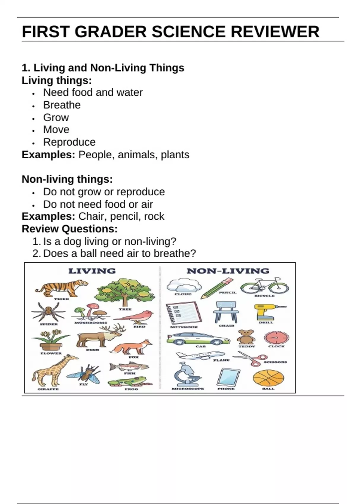 First Grade Science Reviewer and Lesson Guide: Complete Visuals ...