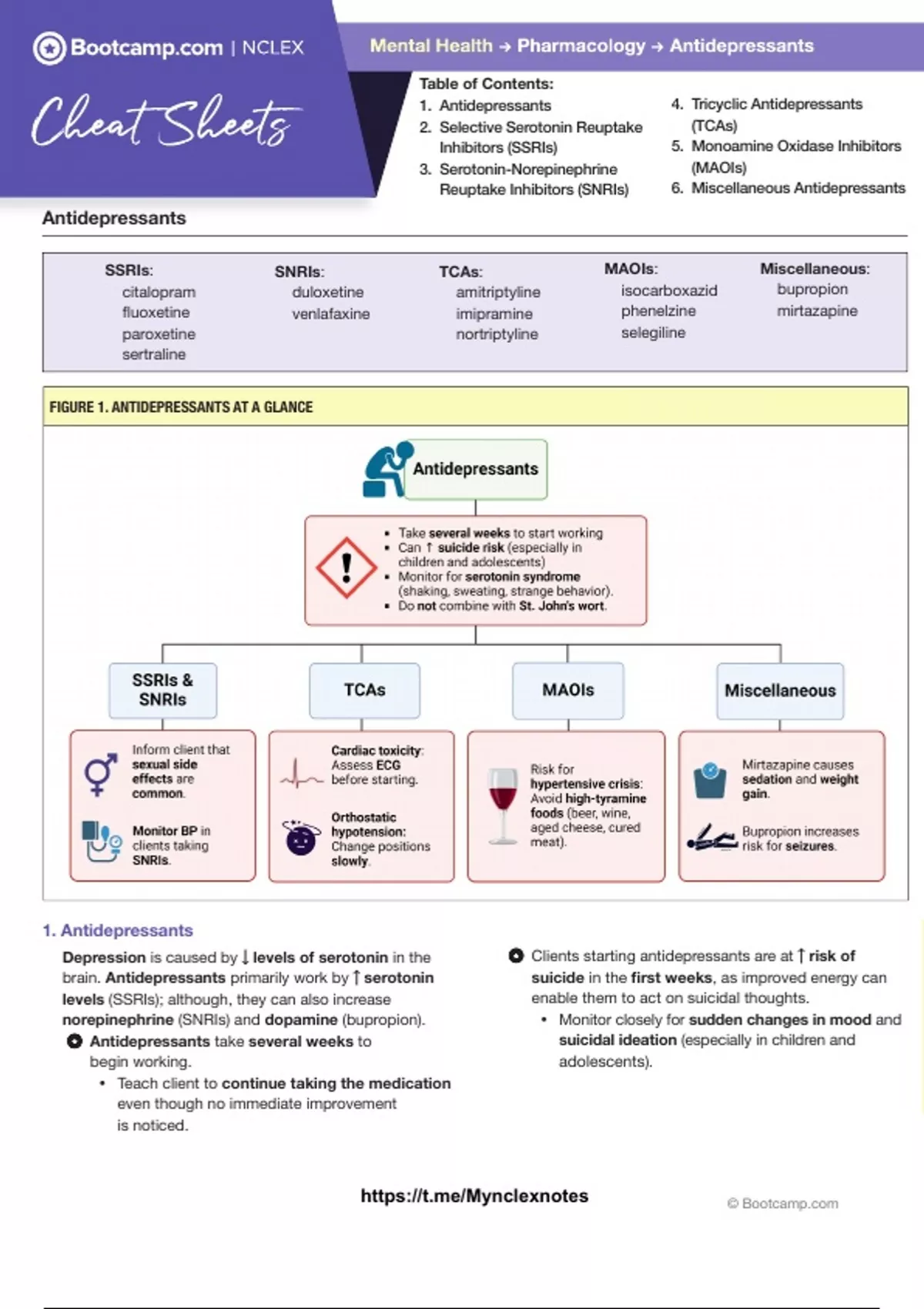 2025 NCLEX Bootcamp Cheat Sheet 48 Topics | Comprehensive Cheat Sheet ...